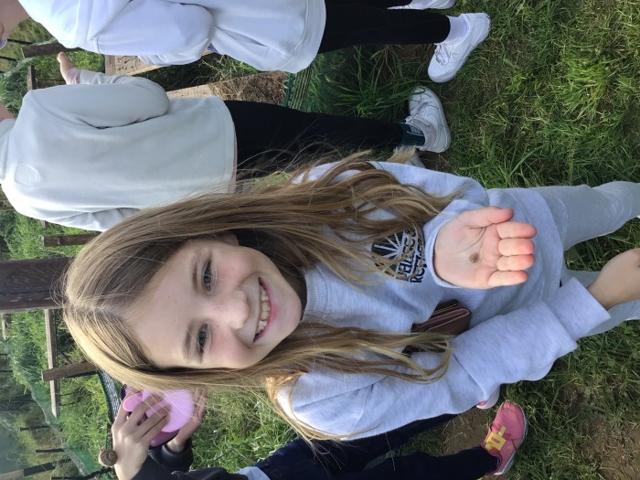 Photos - Wouldham All Saints CEP